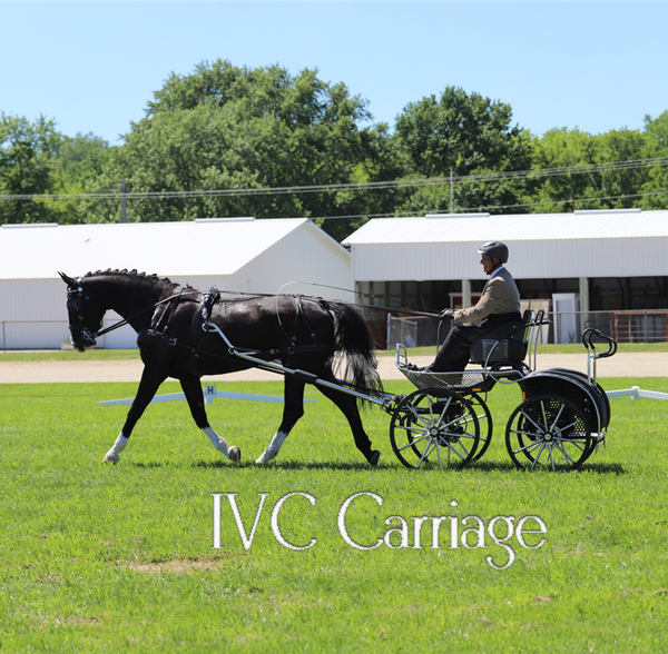 Mini, Pony, Horse Driving Harness | IVC Carriage