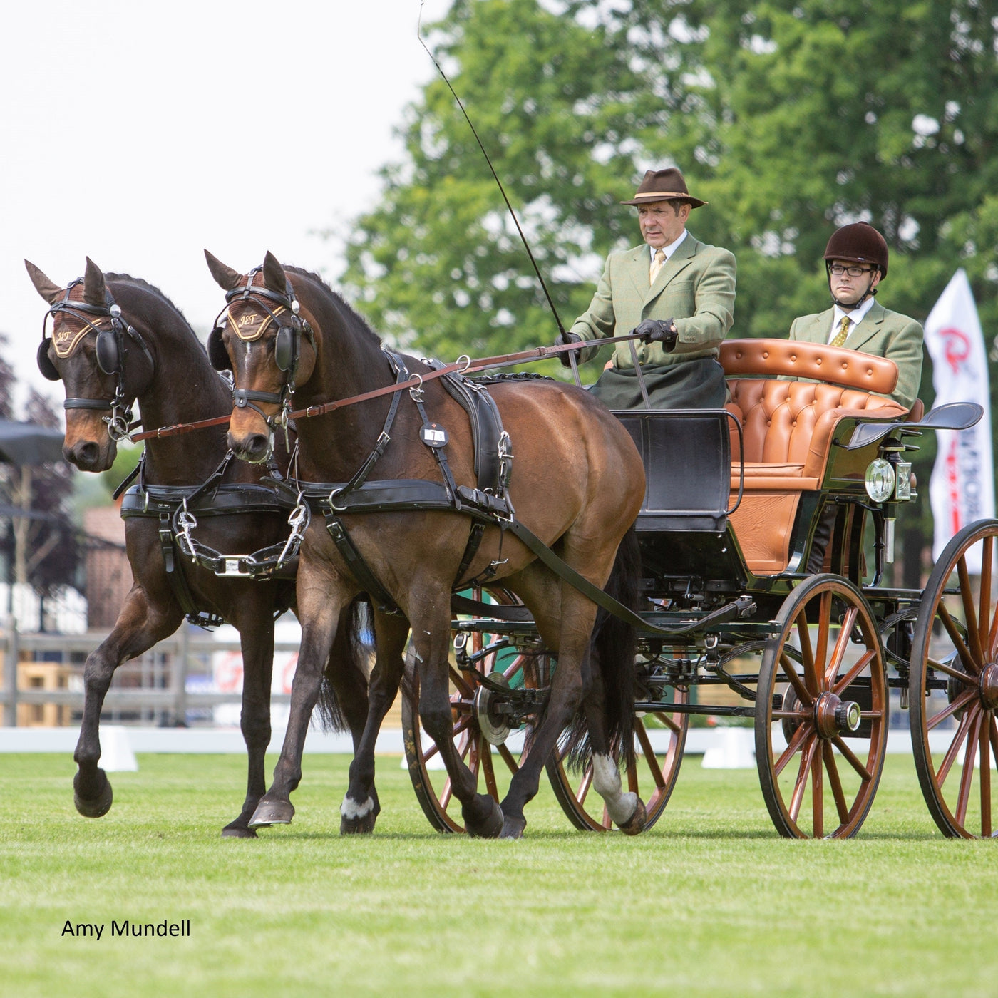 Carriage Driving Terms | IVC Carriage