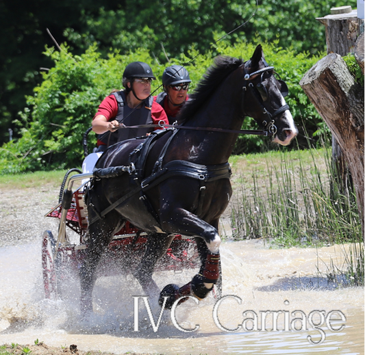 Horse & Carriage Driving Equipment | IVC Carriage