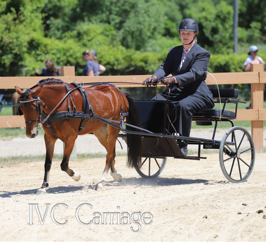 Horse & Carriage Driving Equipment | IVC Carriage