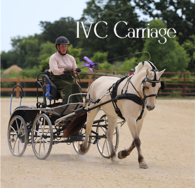 Cob Horse Harness | IVC Carriage