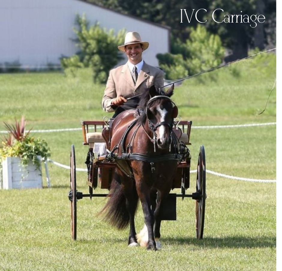 Horse & Carriage Driving Equipment | IVC Carriage