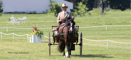 Horse & Carriage Driving Equipment | IVC Carriage
