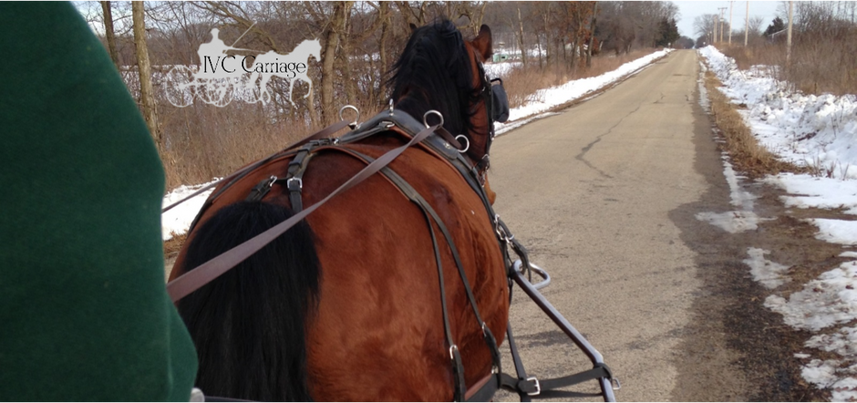 Horse & Carriage Driving Equipment | IVC Carriage