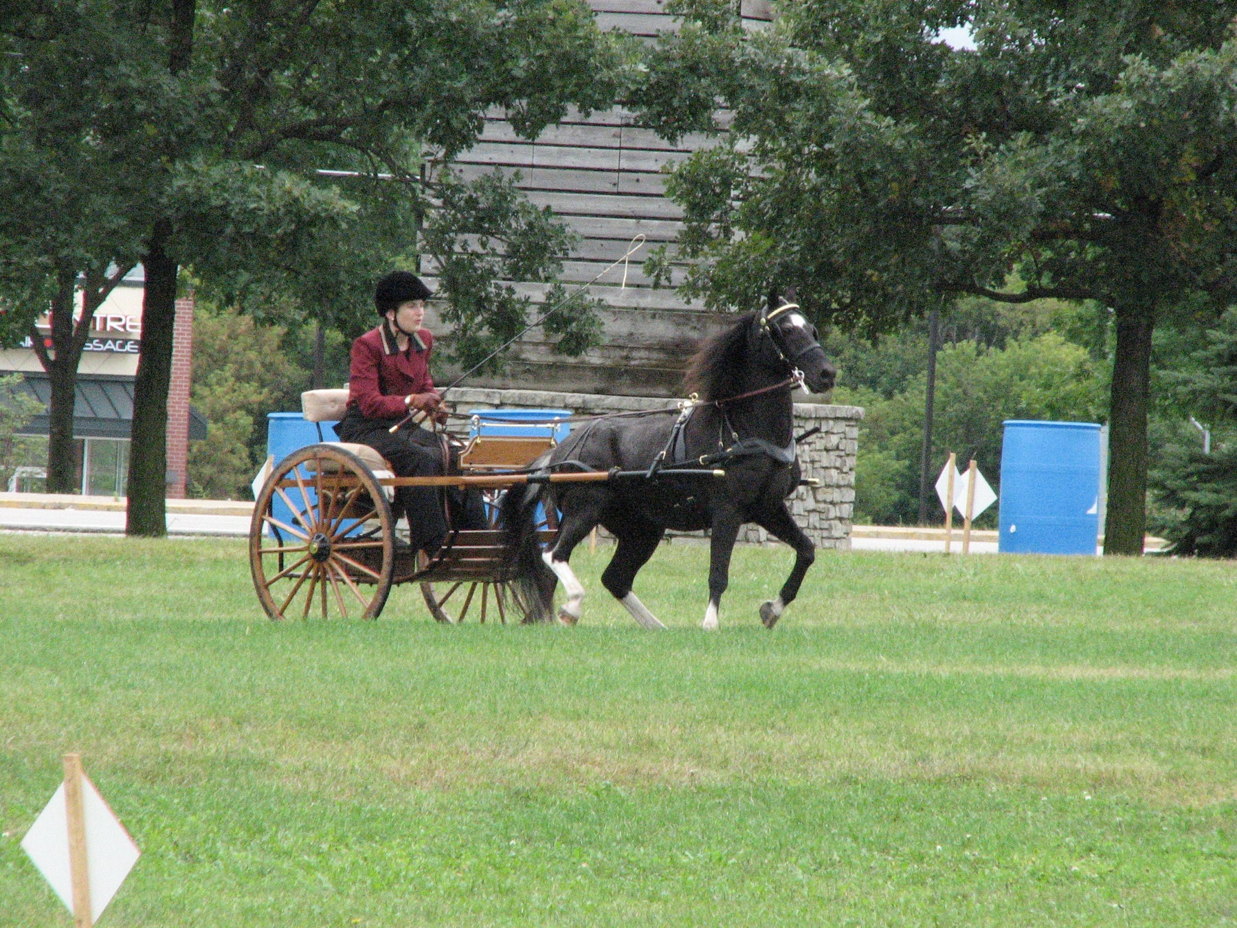 Educational Articles - Driving Horse Safety | IVC Carriage