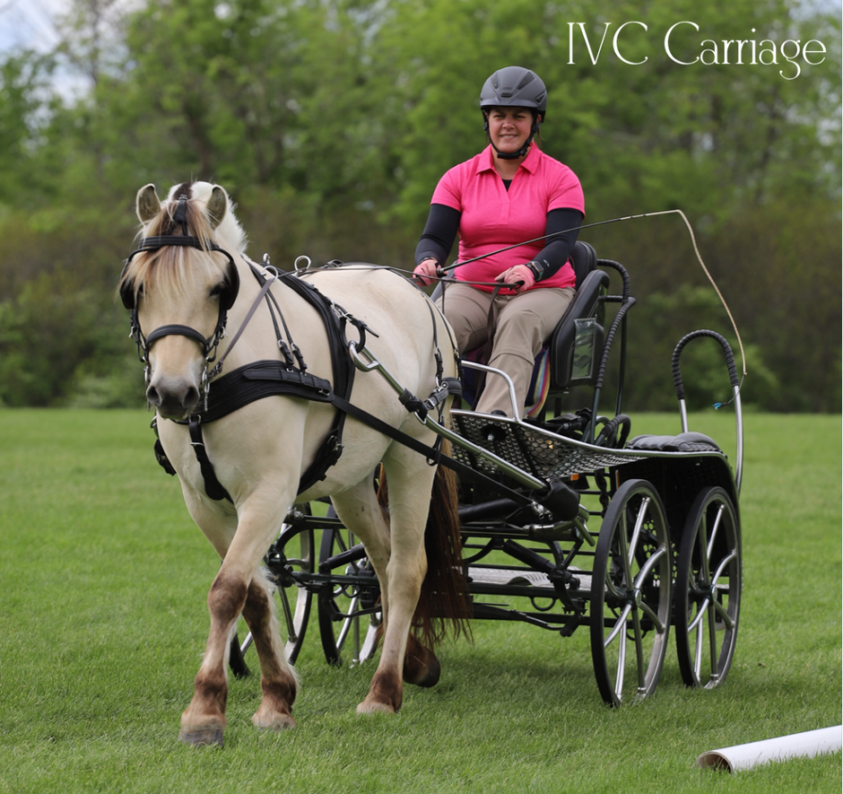 Horse & Carriage Driving Equipment | IVC Carriage