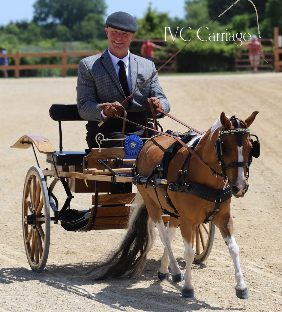Horse & Carriage Driving Equipment | IVC Carriage
