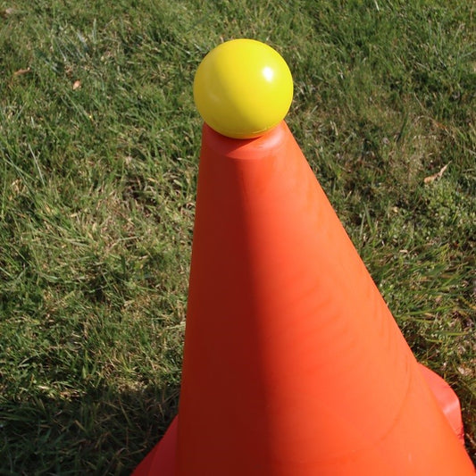 FEI Driving Cones and Number Markers | IVC Carriage