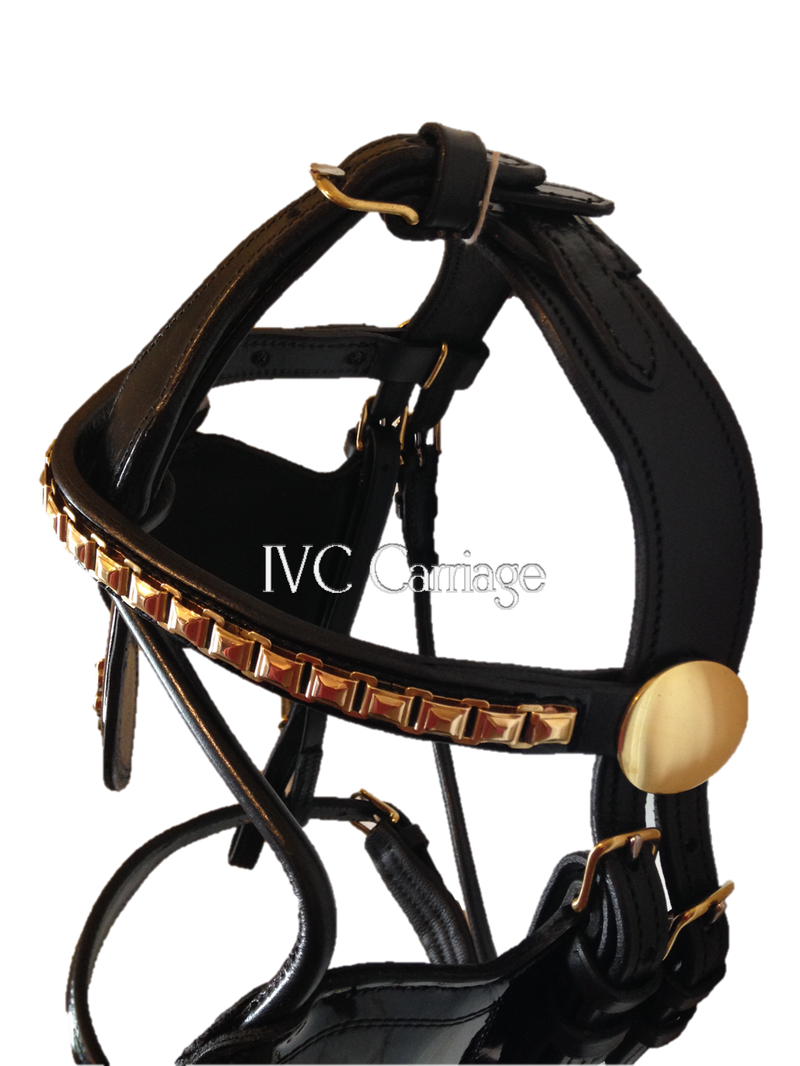 IVC Extra Elite Leather Large Horse Carriage Driving Harness | IVC Carriage