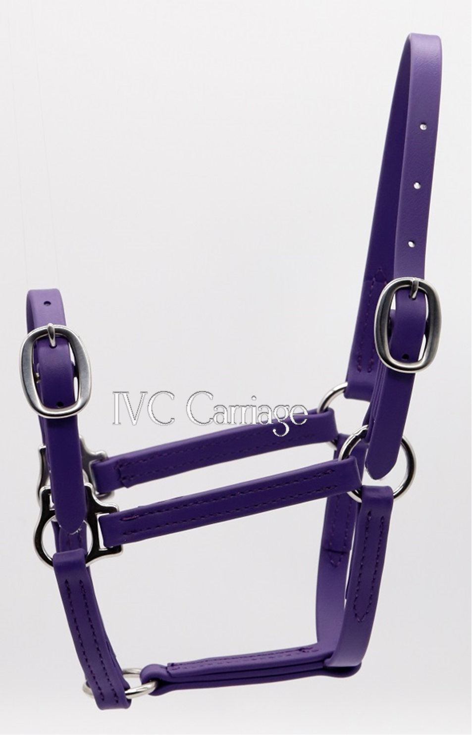 Nose Buckle BioThane Beta Large Miniature Horse Halter | IVC Carriage